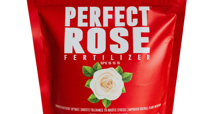 What is a good rose fertilizer? – Happy Nutrients