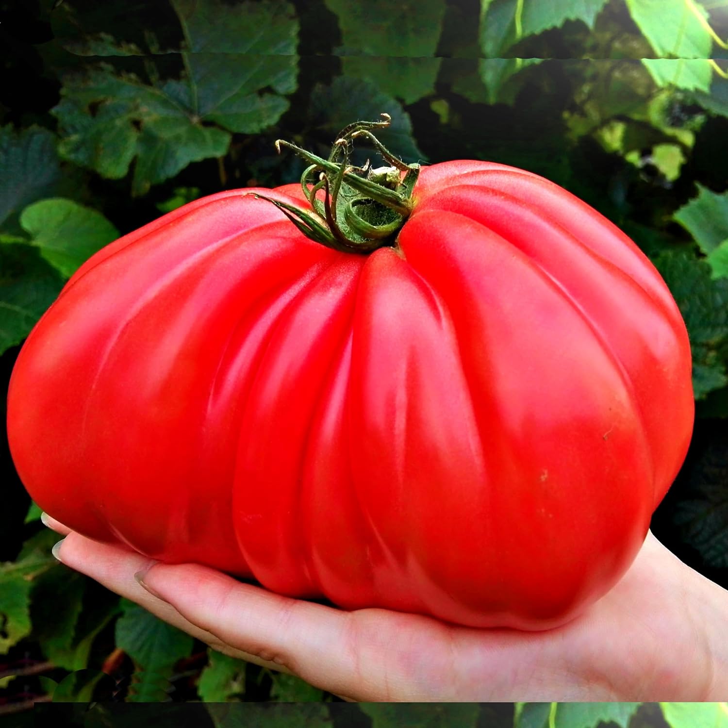 Contact Us – Happy Nutrients